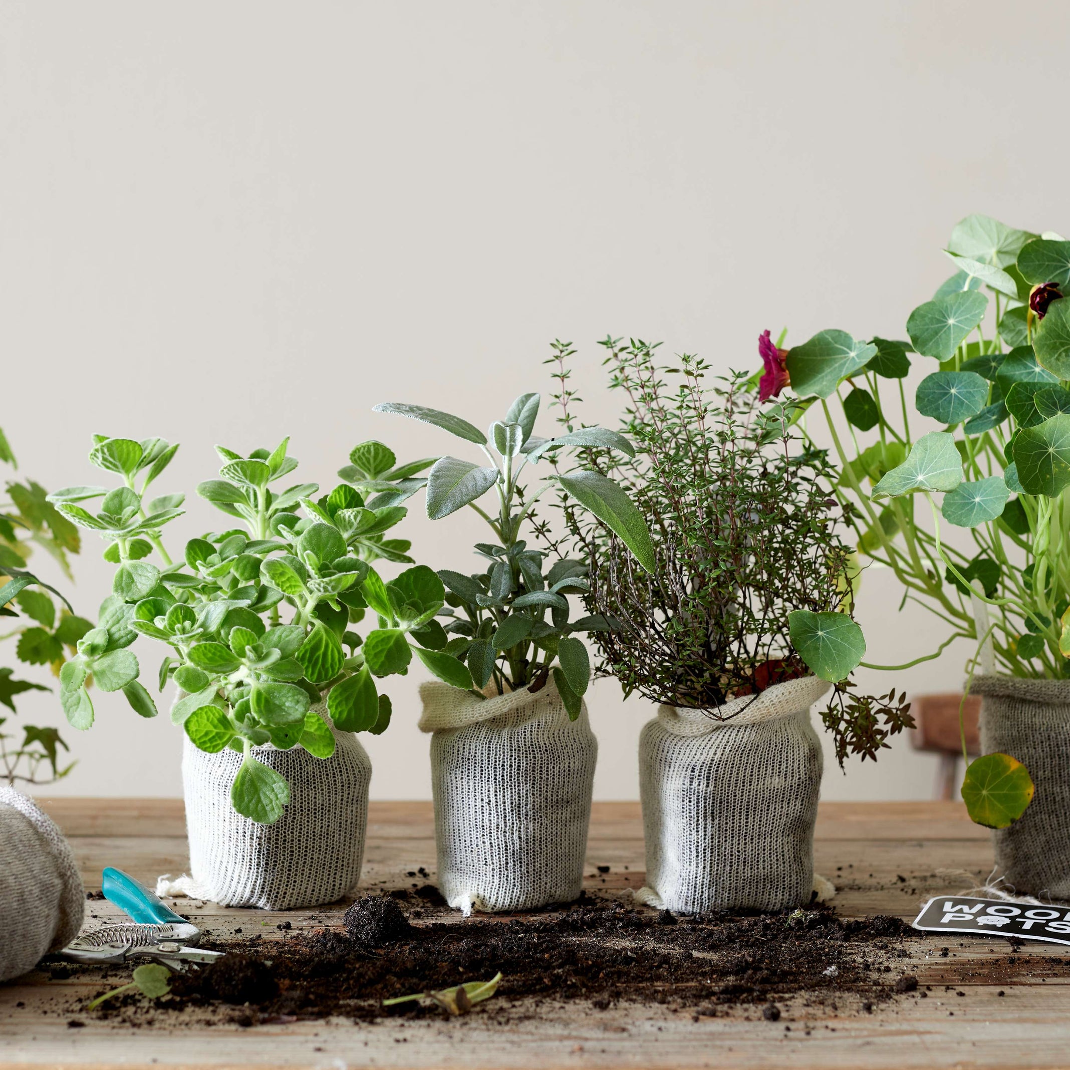 Wool Pots | 100% Natural Biodegradable Plant Pots for Sustainability ...